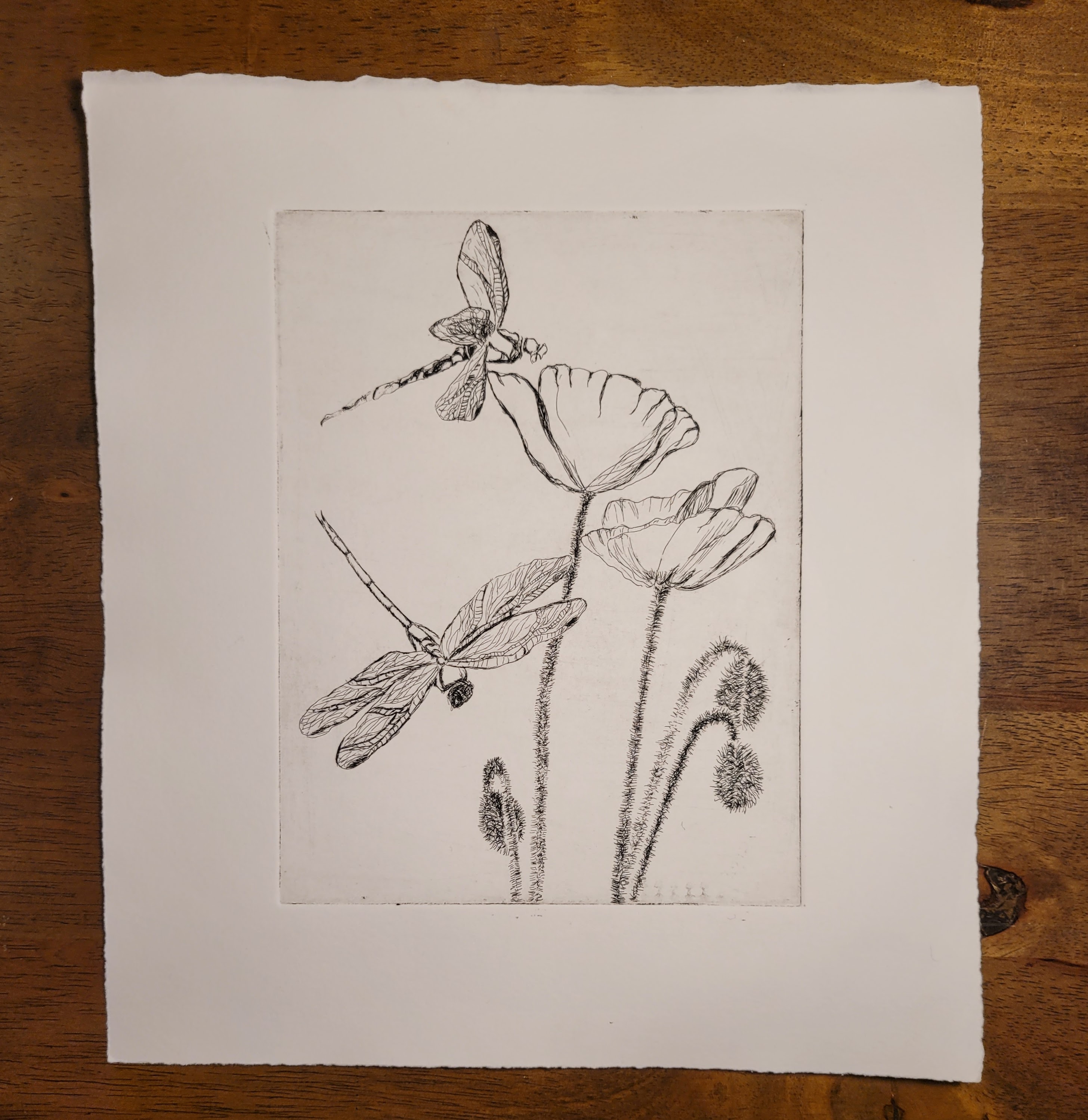 Summer Dance – Amanda M Danford