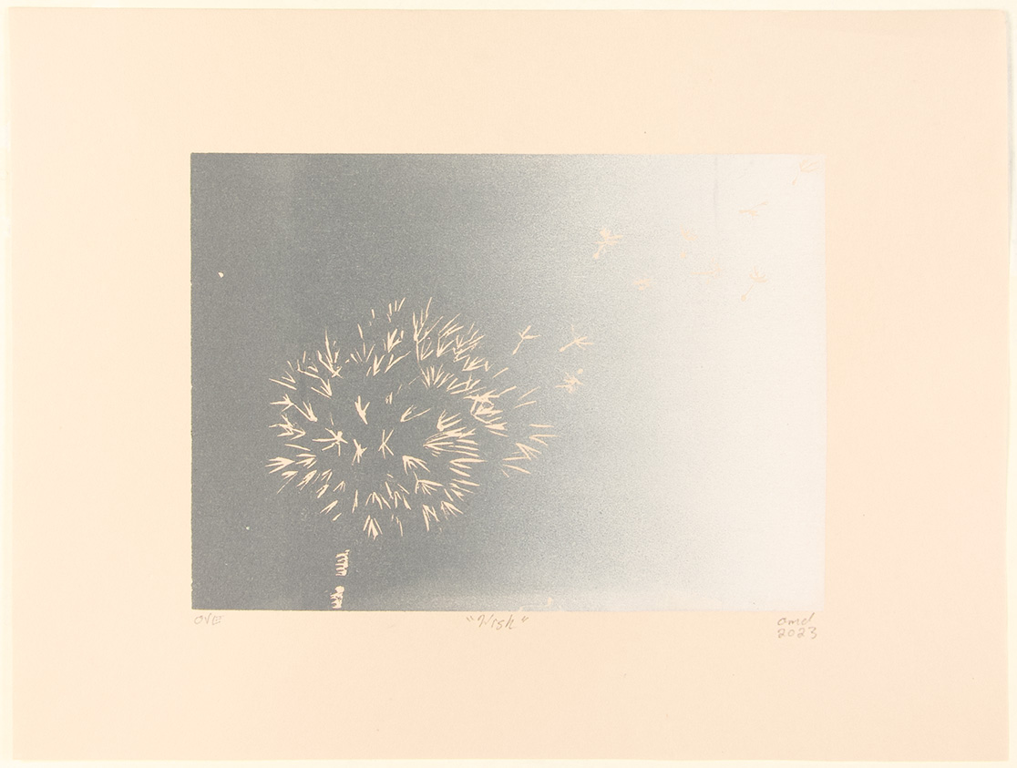 Wish – Amanda M Danford